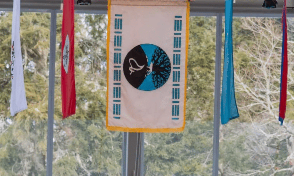 Native Americans in Philanthropy Staff