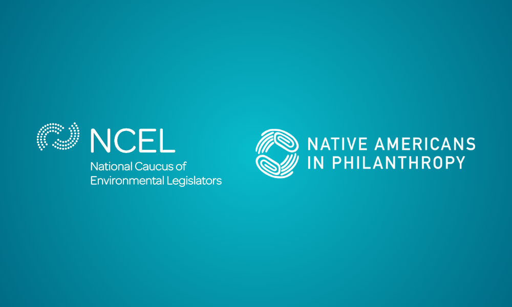 Native Americans in Philanthropy Native Americans in Philanthropy